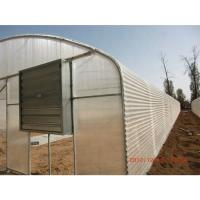 China 3.3m Height Single Span Greenhouse Vegetable Growing Greenhouse With Hydroponic Systems for sale