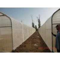 China 3.3m Height Single Span Greenhouse Vegetable Growing Greenhouse With Hydroponic Systems for sale