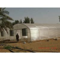 China 3.3m Height Single Span Greenhouse Vegetable Growing Greenhouse With Hydroponic Systems for sale