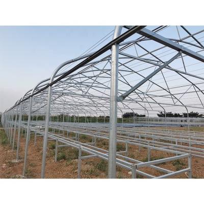 China Customizable Metal Pipe Frame Greenhouse With 200micron Plastic Film for sale