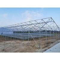 China Customized Galvanized Steel Frame Greenhouse For Flowers And Berries for sale
