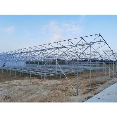 China Customized Galvanized Steel Frame Greenhouse For Flowers And Berries for sale