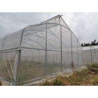 China Customized Galvanized Steel Frame Greenhouse For Flowers And Berries for sale