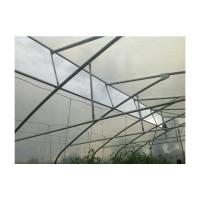 China Customized Galvanized Steel Frame Greenhouse For Flowers And Berries for sale