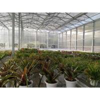 China Clear Plastic Polycarbonate Roof Greenhouse For Flower And Vegetable Cultivation for sale