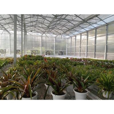 China Clear Plastic Polycarbonate Roof Greenhouse For Flower And Vegetable Cultivation for sale