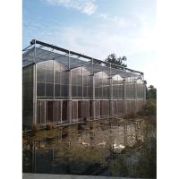 China Clear Plastic Polycarbonate Roof Greenhouse For Flower And Vegetable Cultivation for sale