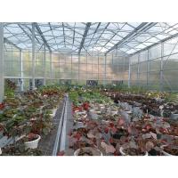 China Clear Plastic Polycarbonate Roof Greenhouse For Flower And Vegetable Cultivation for sale