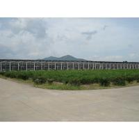 China Clear Plastic Polycarbonate Roof Greenhouse For Flower And Vegetable Cultivation for sale