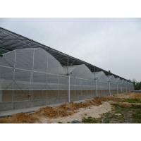 China Multi Span Plastic Tunnel Greenhouse For Flower And Vegetable Hydroponic for sale
