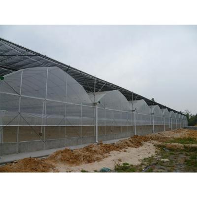 China Multi Span Plastic Tunnel Greenhouse For Flower And Vegetable Hydroponic for sale