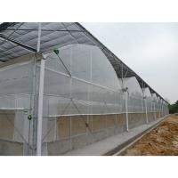 China Multi Span Plastic Tunnel Greenhouse For Flower And Vegetable Hydroponic for sale