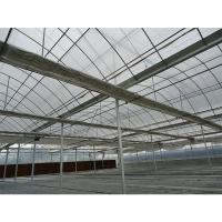 China Multi Span Plastic Tunnel Greenhouse For Flower And Vegetable Hydroponic for sale