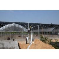 China Multi Span Plastic Tunnel Greenhouse For Flower And Vegetable Hydroponic for sale