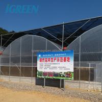 China 150 Micron Multi Tunnel Greenhouse Plastic Film Covering For Plants Growing for sale