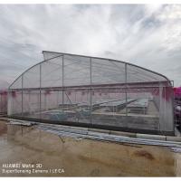 China UV Proof Greenhouse Hydroponics System Vegetables Growing Deep Water Culture System for sale