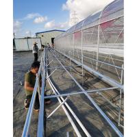 China UV Proof Greenhouse Hydroponics System Vegetables Growing Deep Water Culture System for sale