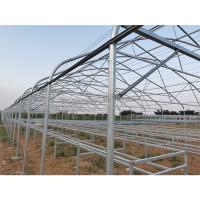 China Roof Height 6.5m Wrought Iron Greenhouse For Flowers And Vegetables for sale