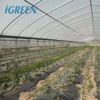 China Large IGreen Agricultural Greenhouses Materials Shade Cloth Greenhouse with No Roof Vent for sale