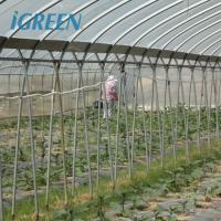 China Large IGreen Agricultural Greenhouses Materials Shade Cloth Greenhouse with No Roof Vent for sale