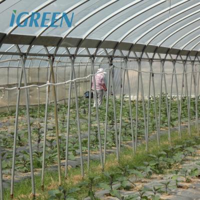 China Large IGreen Agricultural Greenhouses Materials Shade Cloth Greenhouse with No Roof Vent for sale