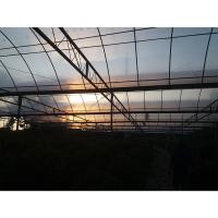 China Film Surface Insulated Greenhouse Kits For Flowers And Vegetables Growing for sale