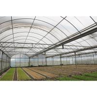 China 12-15 Meter Tunnel Width IGREEN Large Multi-Span Plastic Greenhouse for Plant Farming for sale