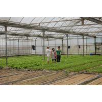 China 12-15 Meter Tunnel Width IGREEN Large Multi-Span Plastic Greenhouse for Plant Farming for sale