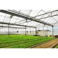 China 12-15 Meter Tunnel Width IGREEN Large Multi-Span Plastic Greenhouse for Plant Farming for sale