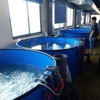 China Galvanized Steel Pipe Circular RAS Fish Tank 10 Meter Fresh Water Automatic Feeding for sale