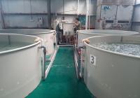 China Customized Galvanized Fish Pond High Capacity For Commercial Farming for sale