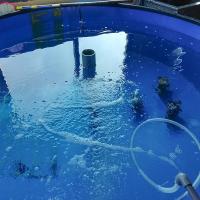 China Galvanized Steel Pipe Circular RAS Fish Tank 10 Meter Fresh Water Automatic Feeding for sale