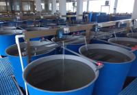 China Galvanized Steel Pipe Circular RAS Fish Tank 10 Meter Fresh Water Automatic Feeding for sale