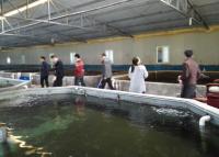 China Galvanized Steel Pipe Circular RAS Fish Tank 10 Meter Fresh Water Automatic Feeding for sale