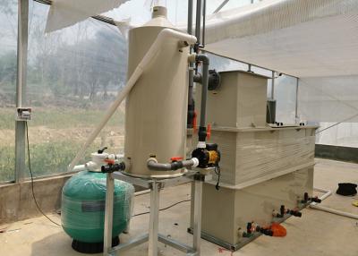 China Shrimp Recirculating Aquaculture System Easy Installation Ras System Fish Farming for sale