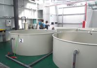 China Galvanized Steel Pipe Circular RAS Fish Tank 10 Meter Fresh Water Automatic Feeding for sale
