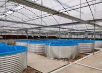 China Shrimp Recirculating Aquaculture System Easy Installation Ras System Fish Farming for sale