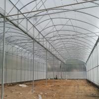 China Customizable Plastic Tunnel Greenhouse Saw Tooth Roof Vent Multi Span For Agriculture for sale