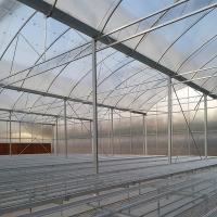 China IGreen Tunnel Strawberry Greenhouses PE Greenhouse for Vegetable and Flower Growing for sale