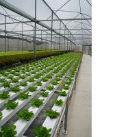 China IGreen Tunnel Strawberry Greenhouses PE Greenhouse for Vegetable and Flower Growing for sale