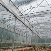 China Single Layer Greenhouse Hydroponics System Wrought Iron Greenhouse With Film Surface for sale