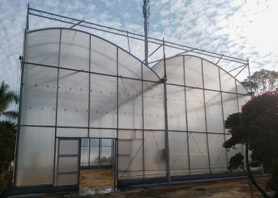 China Single Layer Greenhouse Hydroponics System Wrought Iron Greenhouse With Film Surface for sale