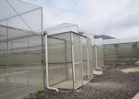 China IGreen Tunnel Strawberry Greenhouses PE Greenhouse for Vegetable and Flower Growing for sale
