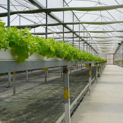 China IGreen Tunnel Strawberry Greenhouses PE Greenhouse for Vegetable and Flower Growing for sale