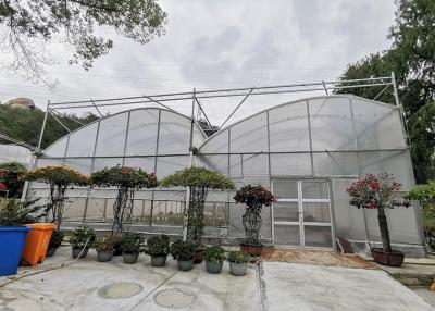 China NFT System Tomato Growing Greenhouse With PVC Pipe Channel And Film Cover for sale