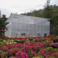 China NFT System Tomato Growing Greenhouse With PVC Pipe Channel And Film Cover for sale