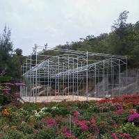 China NFT System Tomato Growing Greenhouse With PVC Pipe Channel And Film Cover for sale