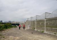 China Single Layer PE Ground Cover for IGreen Greenhouse's Steam-Greenhouse Roofing Material for sale