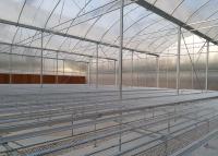 China Single Layer PE Ground Cover for IGreen Greenhouse's Steam-Greenhouse Roofing Material for sale