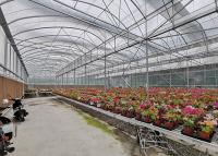 China Tropical Sawtooth Hydroponic Greenhouse Kit Customizable 200micron Film Type for sale